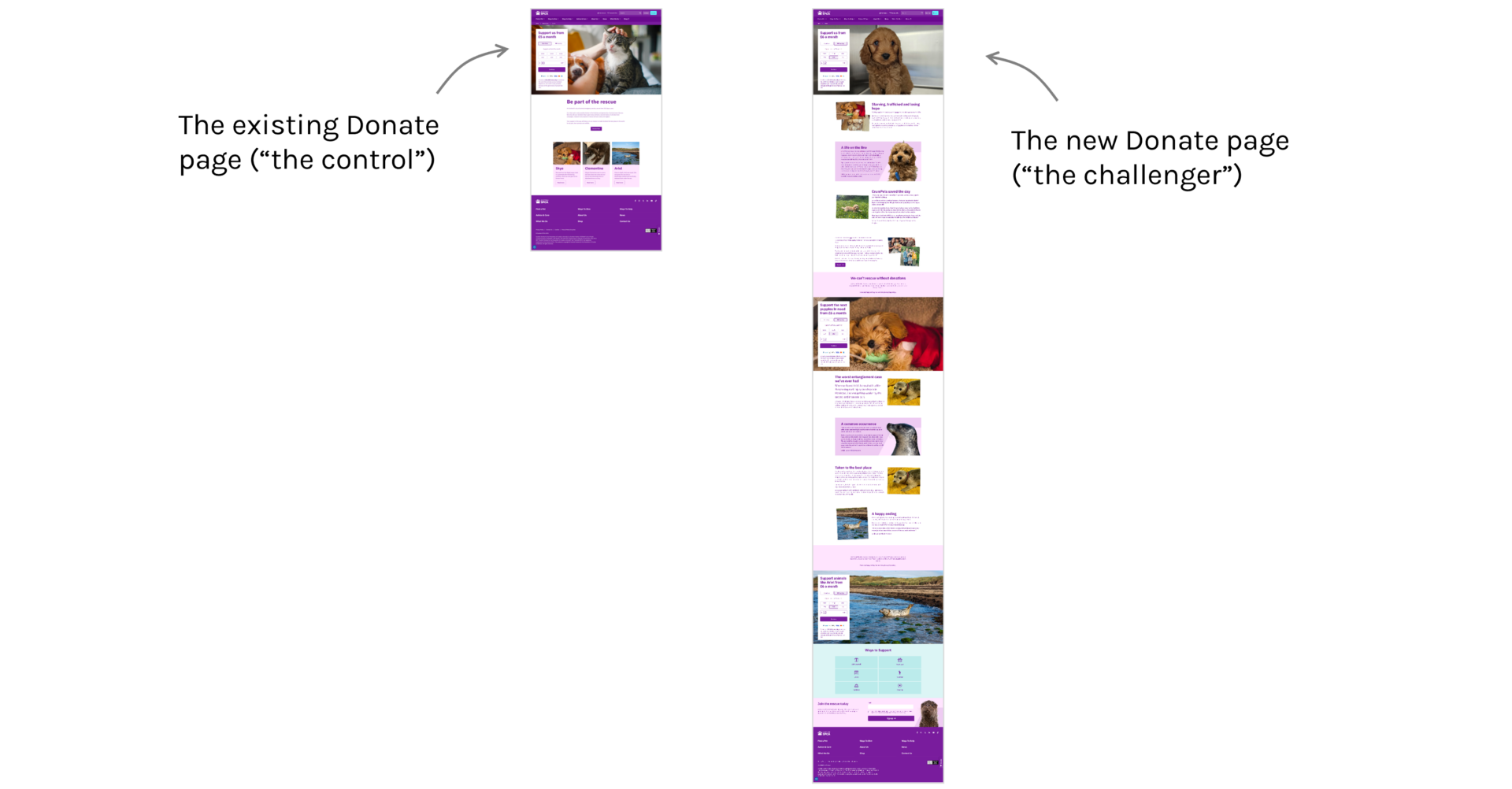 How to Increase Recurring Donations Using Empathy, Memorability & Defaults